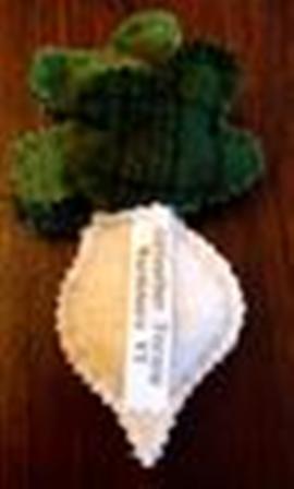Gilfeather Turnip Vermont State Vegetable Ornament-Pin shipping Incl.