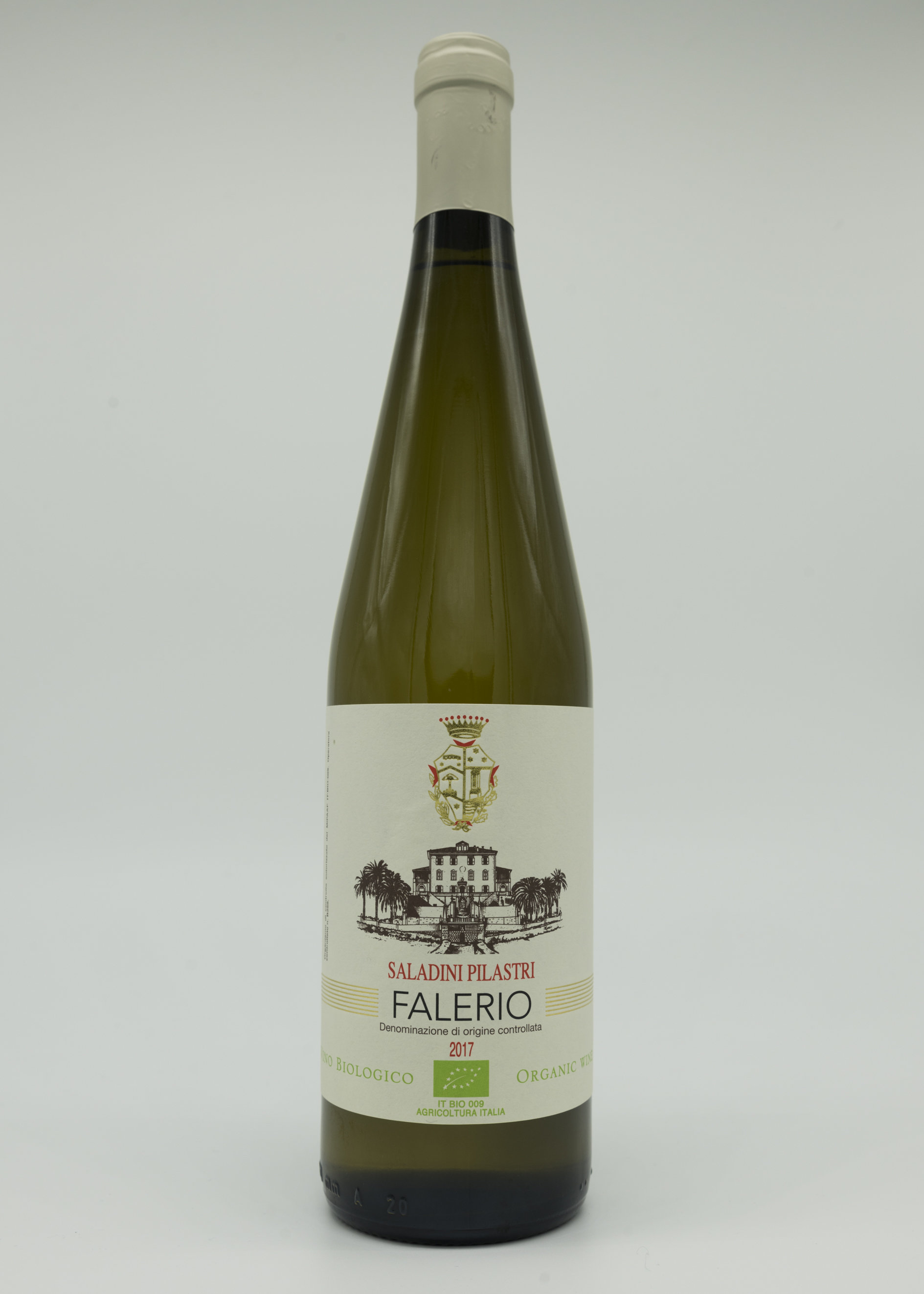 Falerio, Saladini Pilastri DOC 2018 | White Wine | Shop
