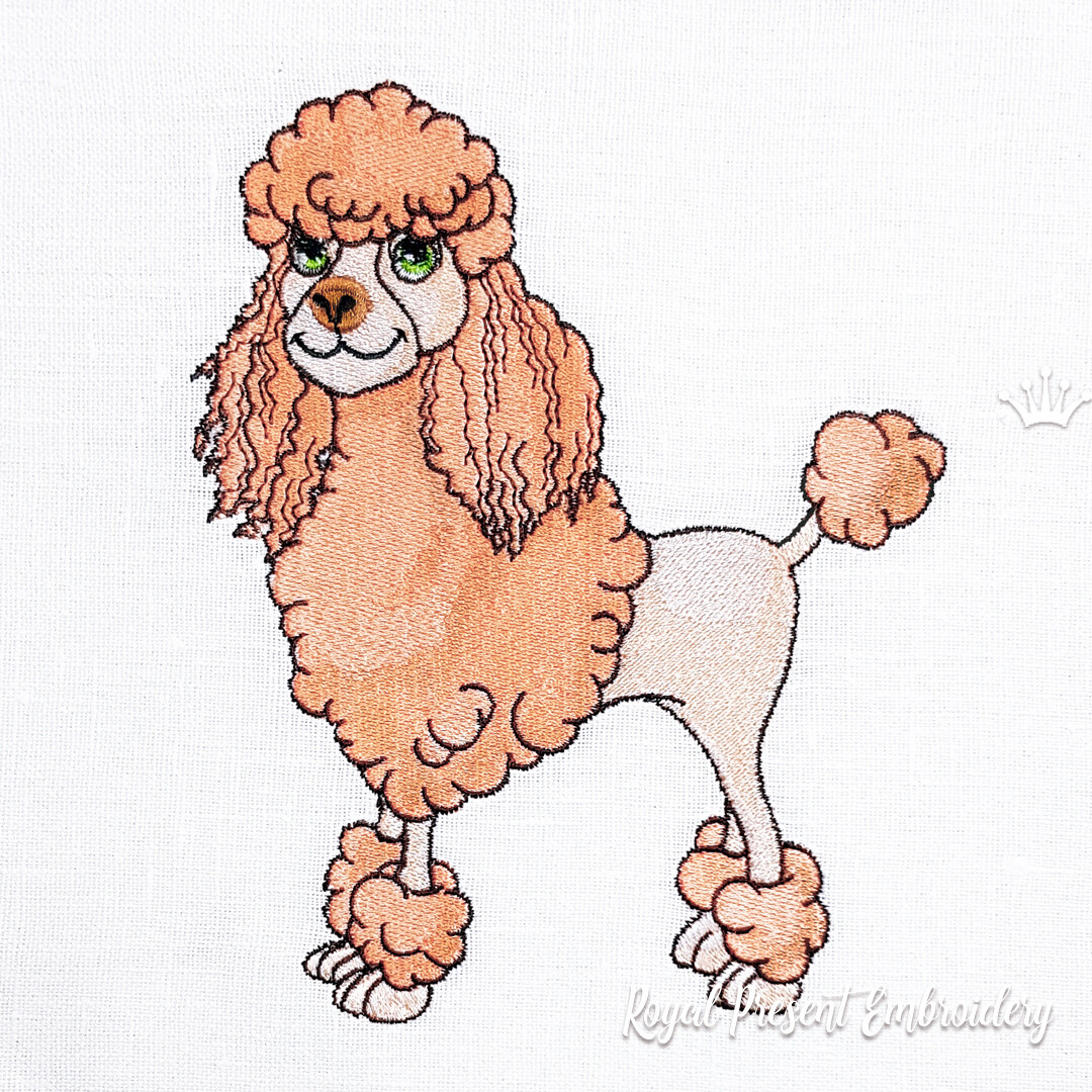 Apricot Poodle Machine Embroidery Design - 5 sizes | Royal Present ...